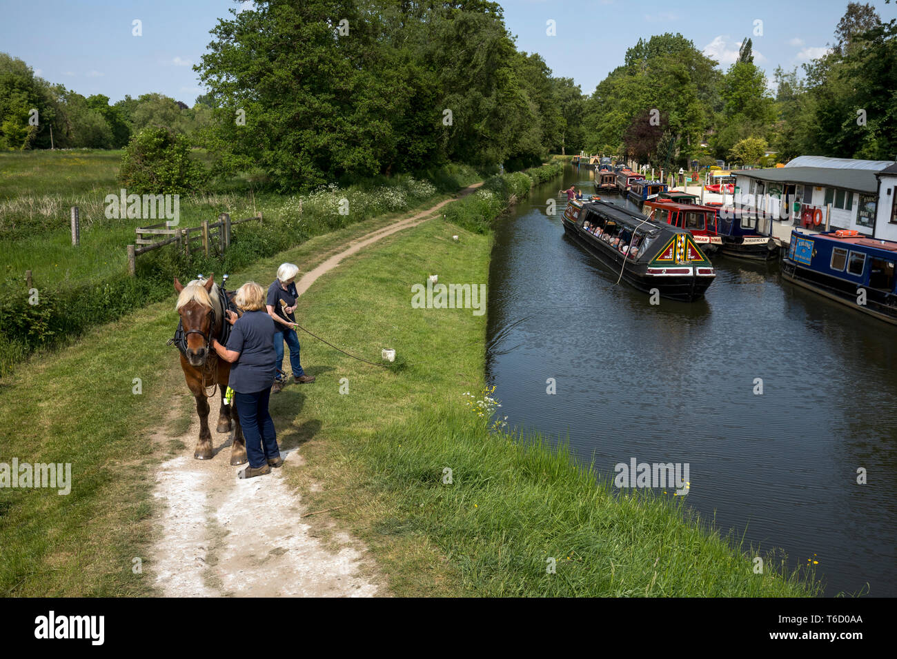 Horse drawn boat hi-res stock photography and images - Alamy