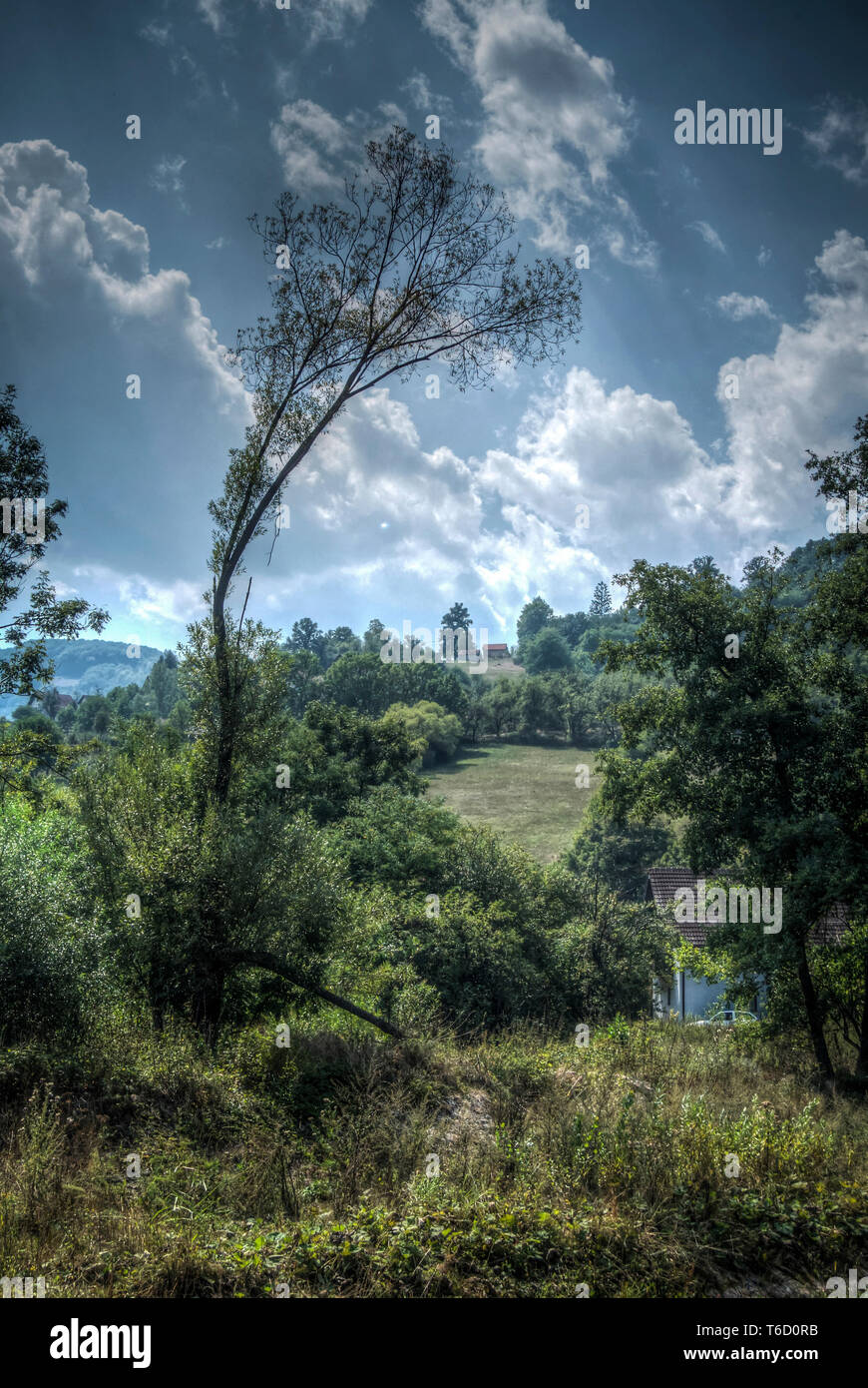 Kosjeric hi-res stock photography and images - Alamy