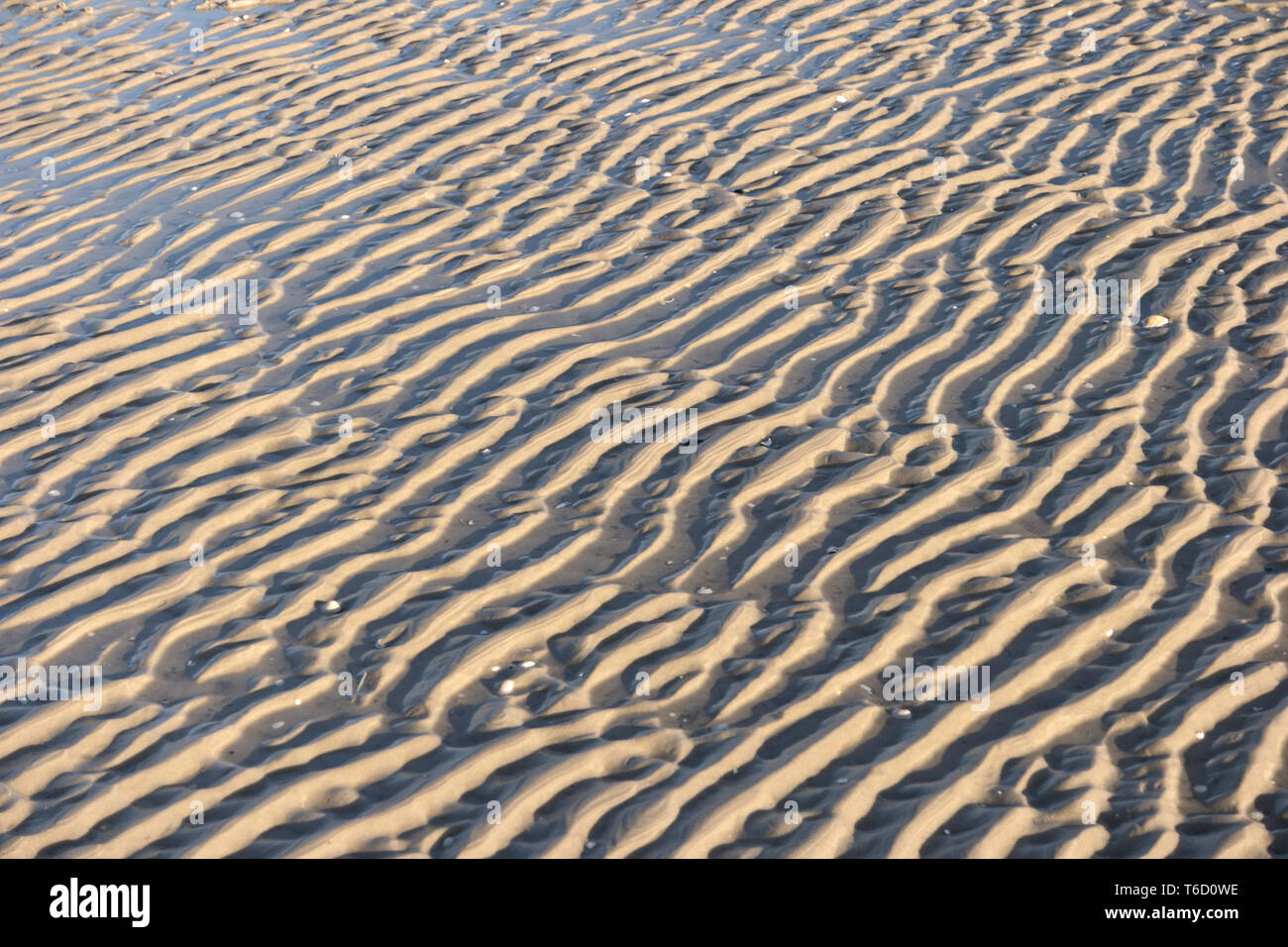 Ripple marks in the sand on the beach hi-res stock photography and ...