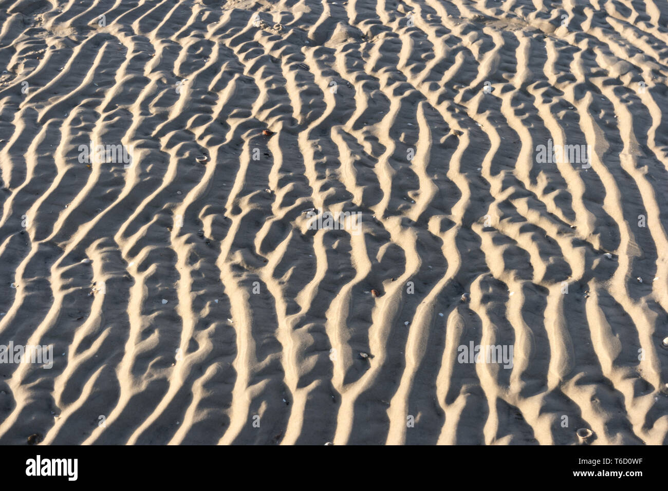 Ripple marks in the sand on the beach hi-res stock photography and ...