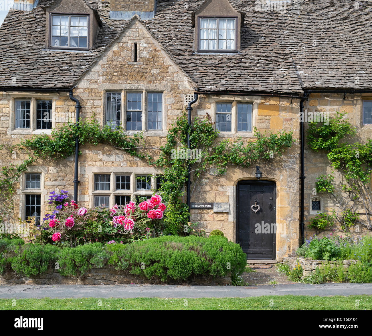 Pink tree peonies hi-res stock photography and images - Alamy