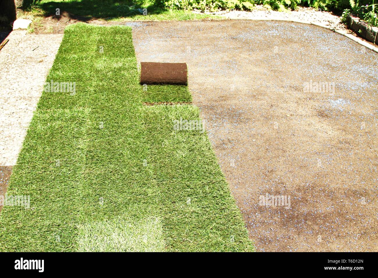 Lay turf roll Stock Photo - Alamy