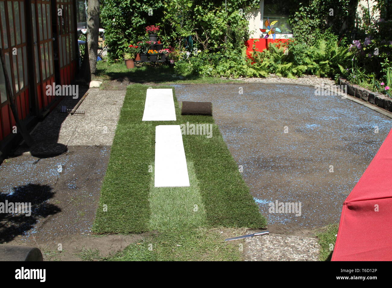 Lay turf on prepared ground Stock Photo - Alamy