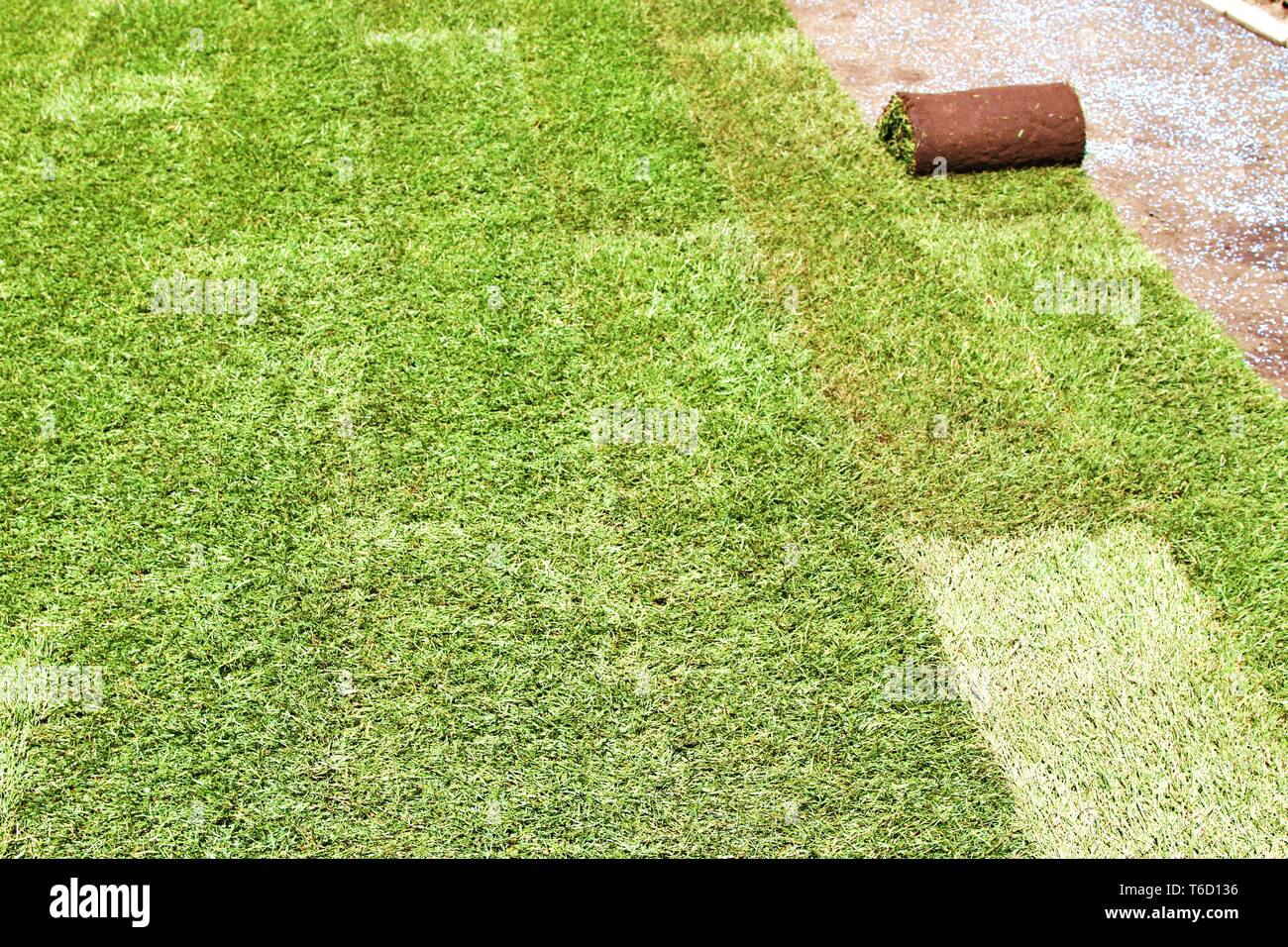 Lay turf roll Stock Photo - Alamy