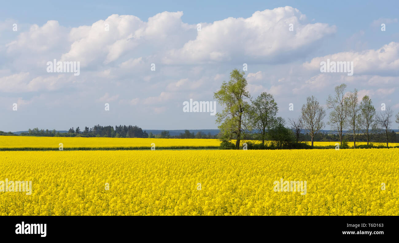 Beautiful spring rural landscape Stock Photo - Alamy