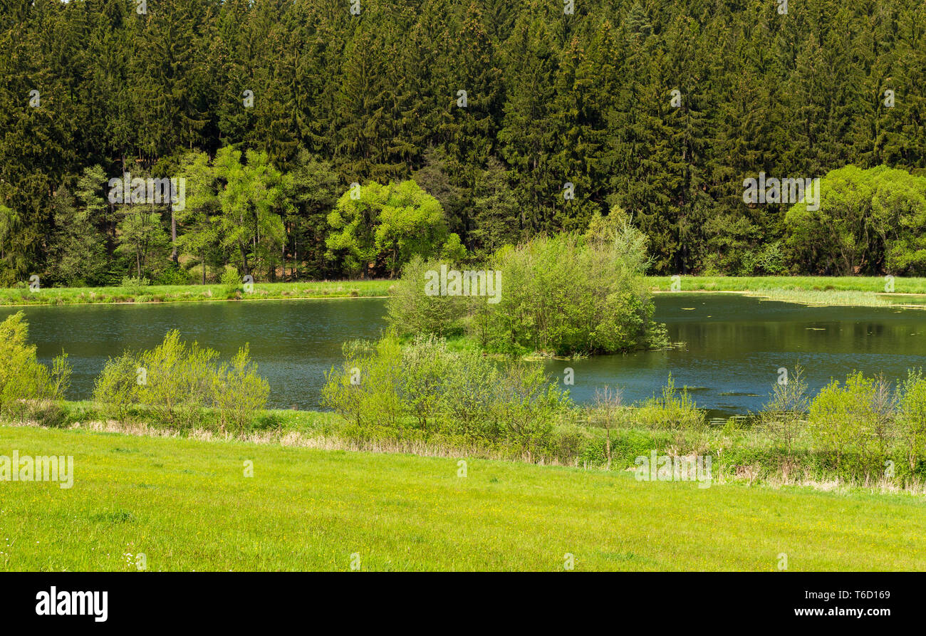 Beautiful spring landscape with small pond Stock Photo - Alamy