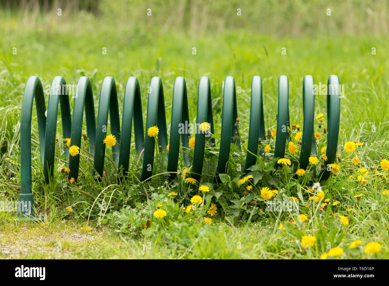 Iron bicycle rack in park Stock Photo - Alamy