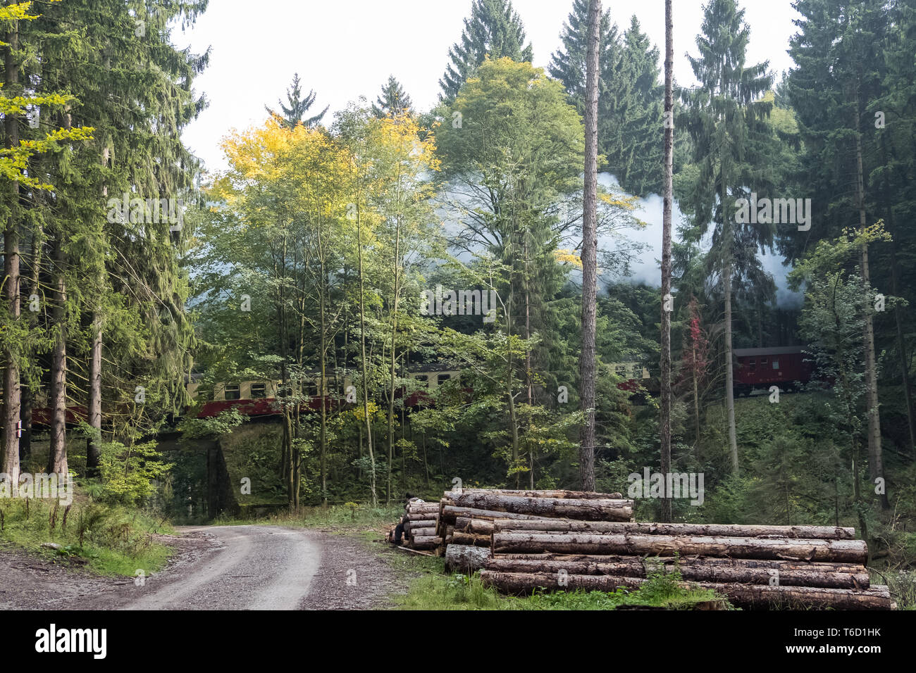 Narrow-Gauge Railway called Harzquerbahn, Selketal, Harz Mountains ...