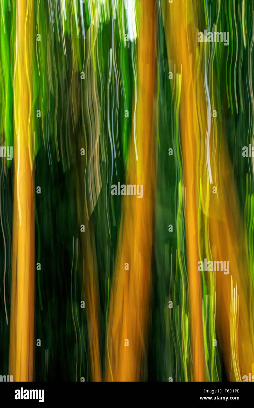 Blurred Trees 017 Stock Photo - Alamy