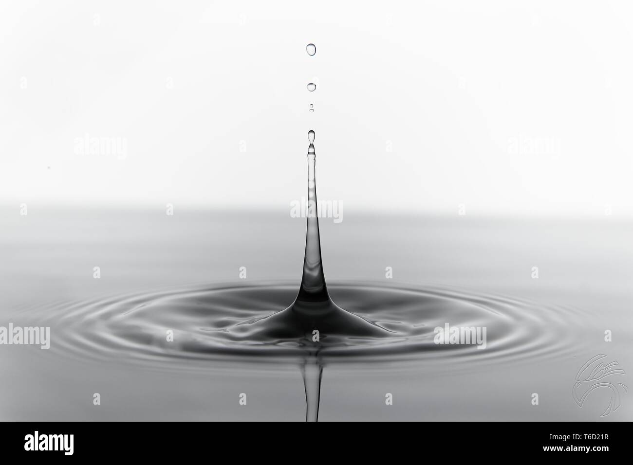 Waterpillar hi-res stock photography and images - Alamy