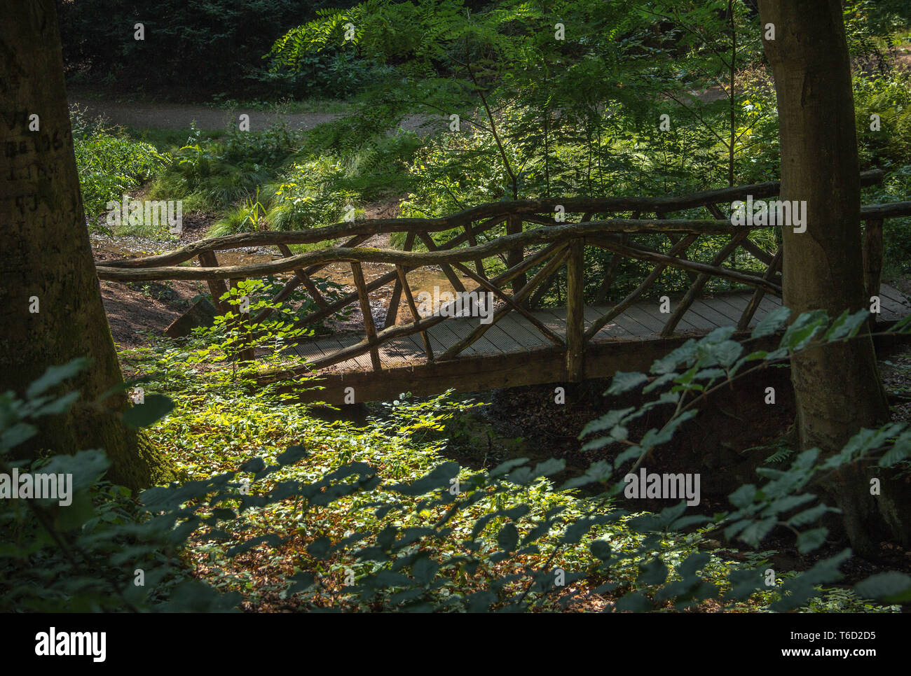 Dutch Nature in Amsterdam, the Netherlands Stock Photo - Alamy