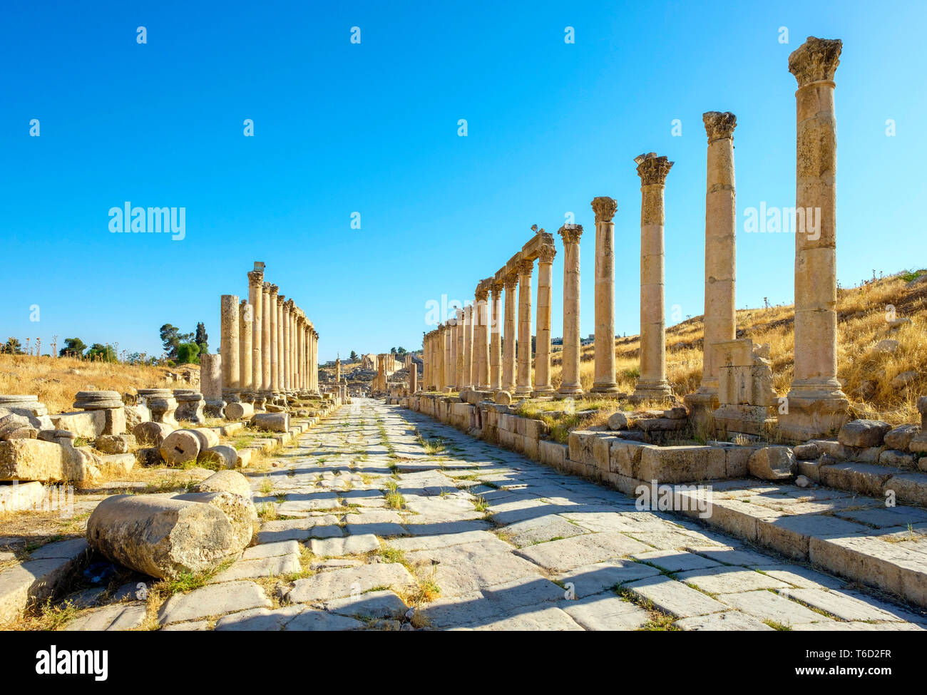 Jordan, Jerash Governorate, Jerash. Colonnaded street (cardo maximus ...