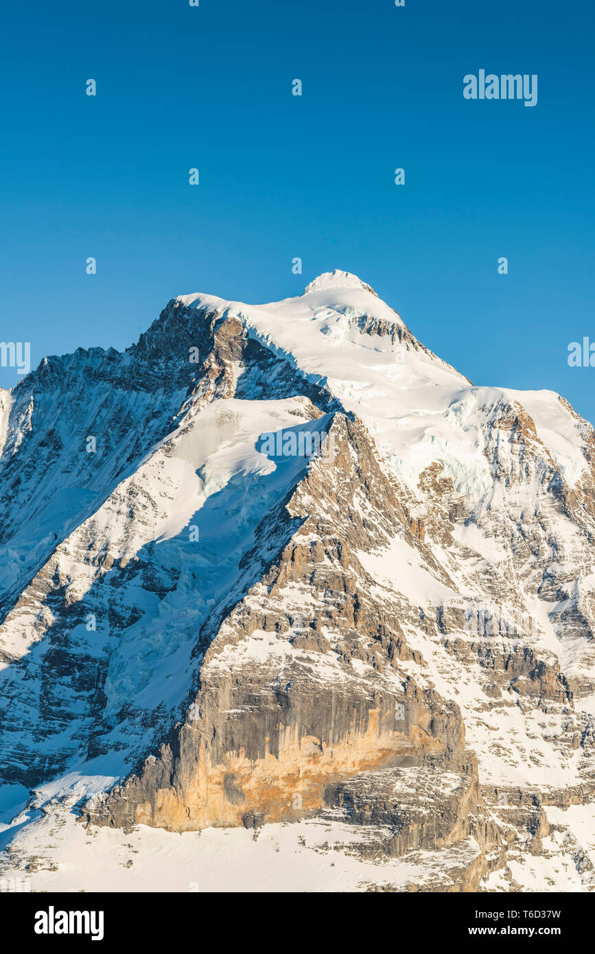 Bernese highlands jungrau hi-res stock photography and images - Alamy