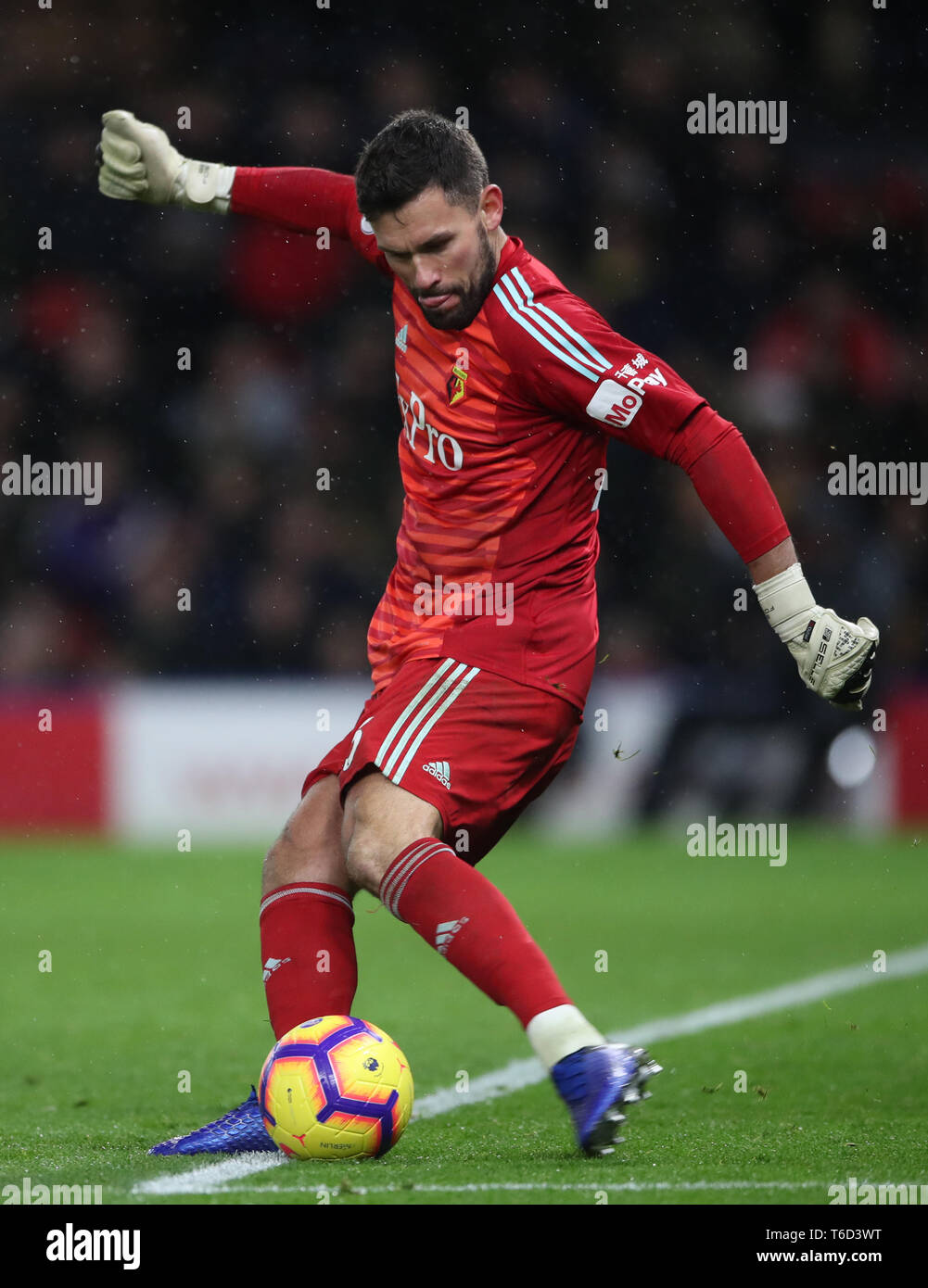 Watford goalkeeper Ben Foster Stock Photo - Alamy