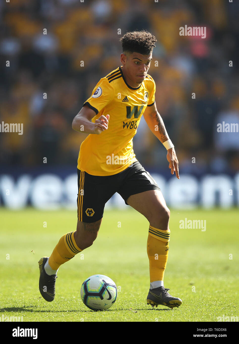 Wolverhampton Wanderers' Morgan Gibbs-White Stock Photo - Alamy