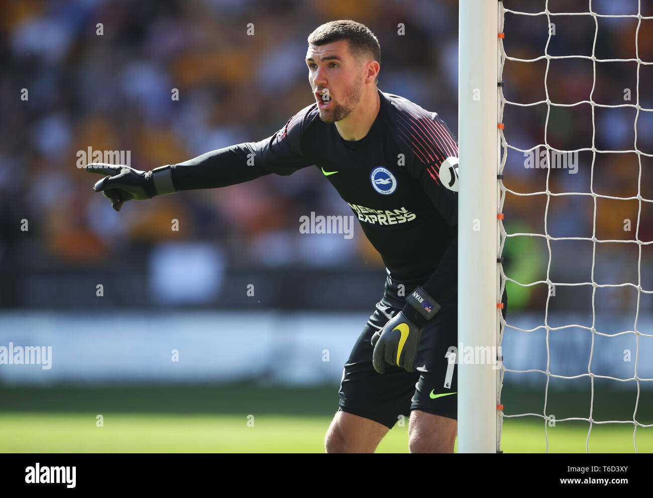 Brighton & Hove Albion goalkeeper Mathew Ryan Stock Photo - Alamy