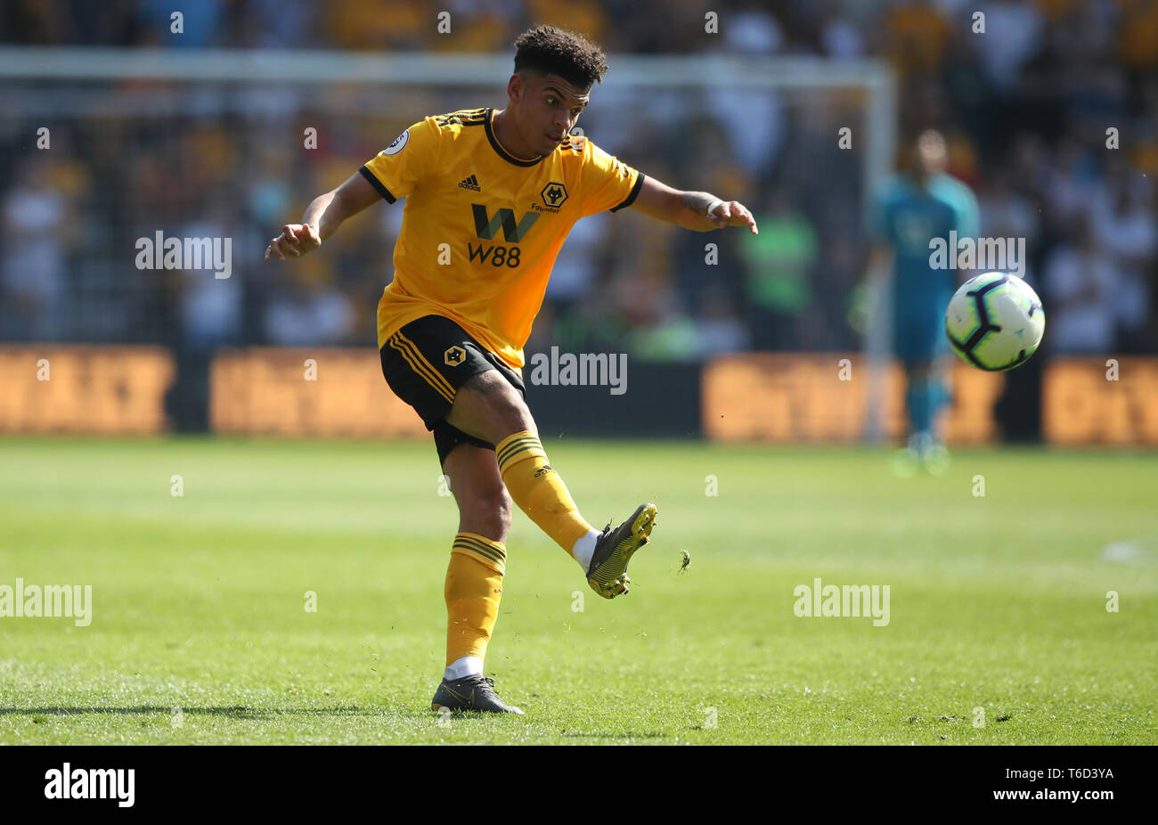 Wolverhampton Wanderers' Morgan Gibbs-White Stock Photo - Alamy