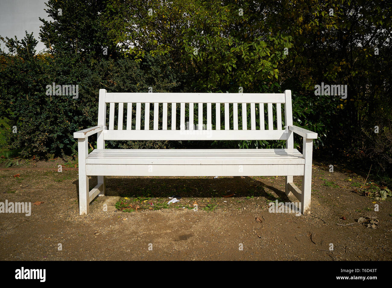 white park bench in a public park in Dresden Stock Photo - Alamy