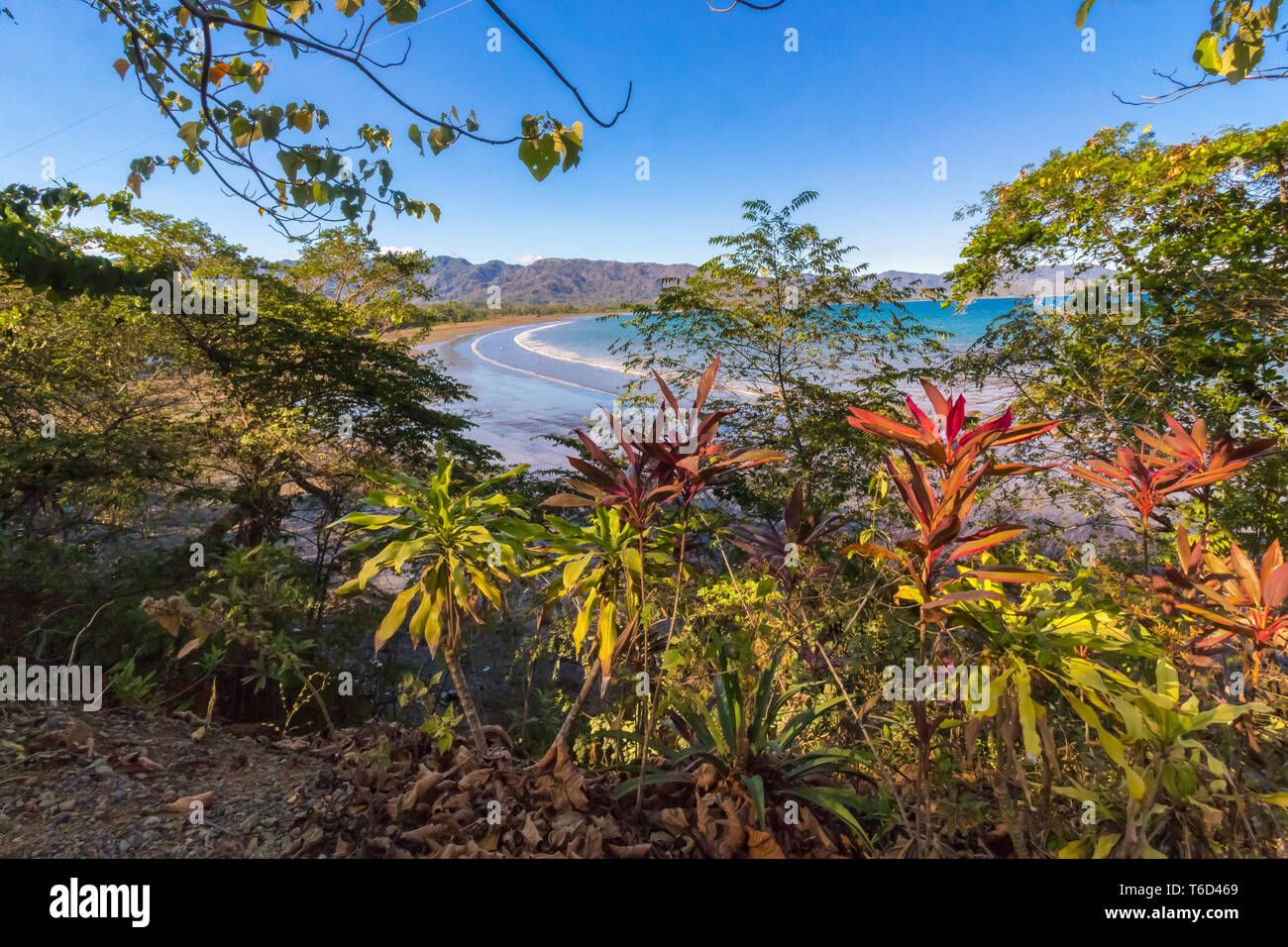 Garza beach Costa Rica Stock Photo - Alamy