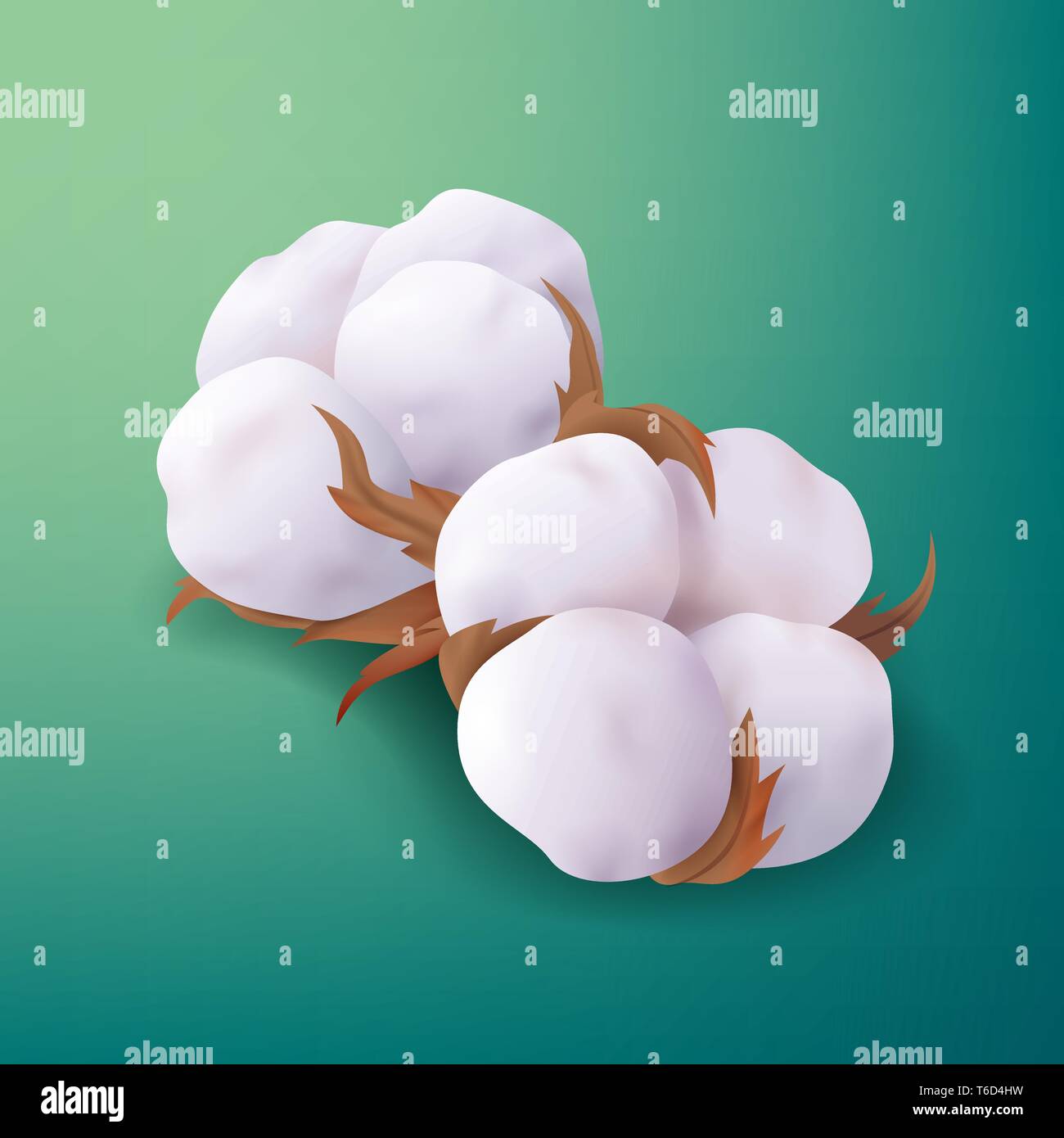White beautiful cotton on Stock Vector Images - Alamy