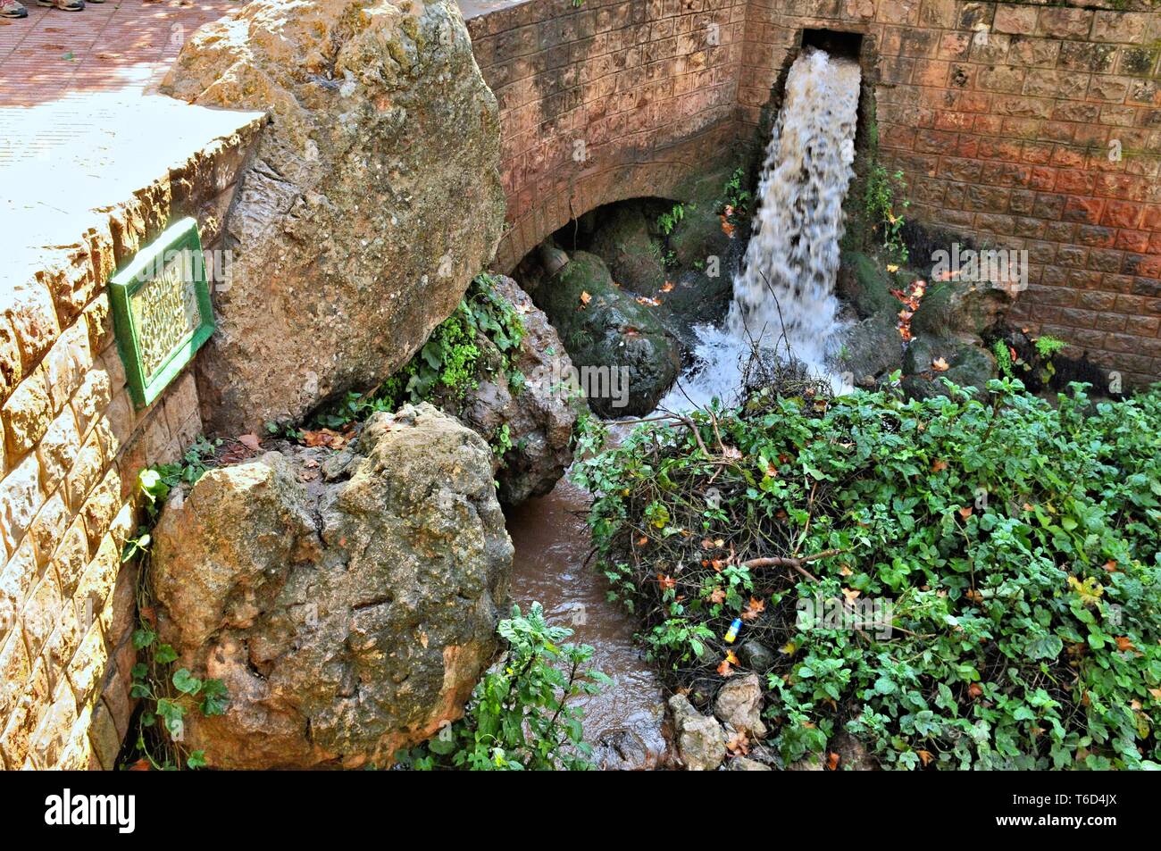 at the source Ain Asserdoun Beni-Mellal City Park Morocco Stock Photo ...