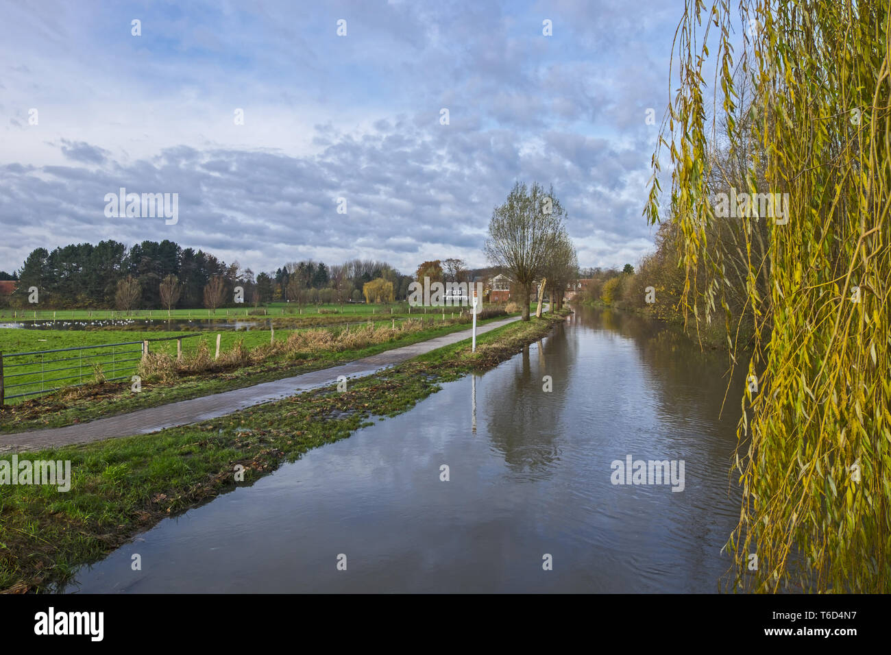 Dinkelwiesen hi-res stock photography and images - Alamy