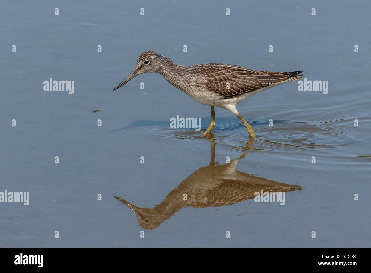 Filey Dams High Resolution Stock Photography and Images - Alamy