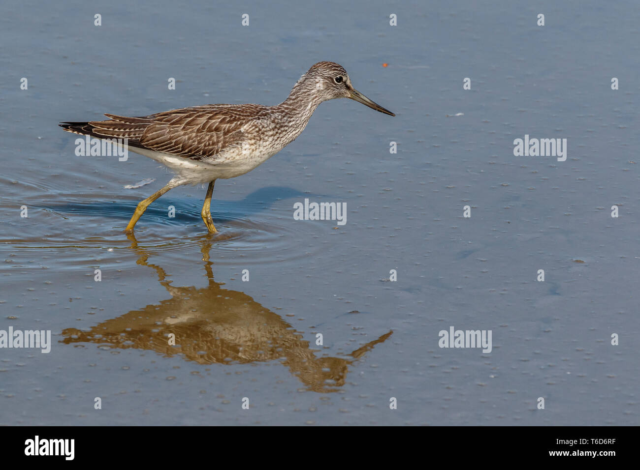 Filey Dams High Resolution Stock Photography and Images - Alamy