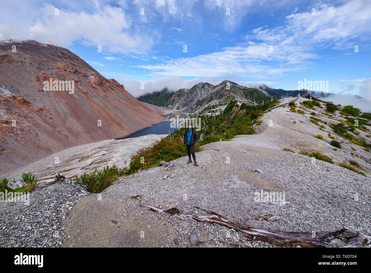 At the Chaitén volcano, Pumalin National Park, Patagonia, Chaitén ...