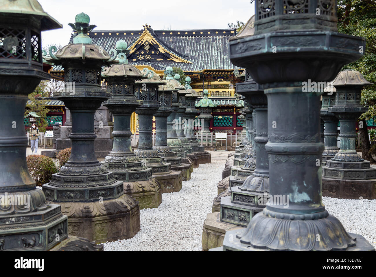 TOKYO, JAPAN - FEBRUARY 8, 2019: Toro stone lanterns at Toshogu Shrine ...