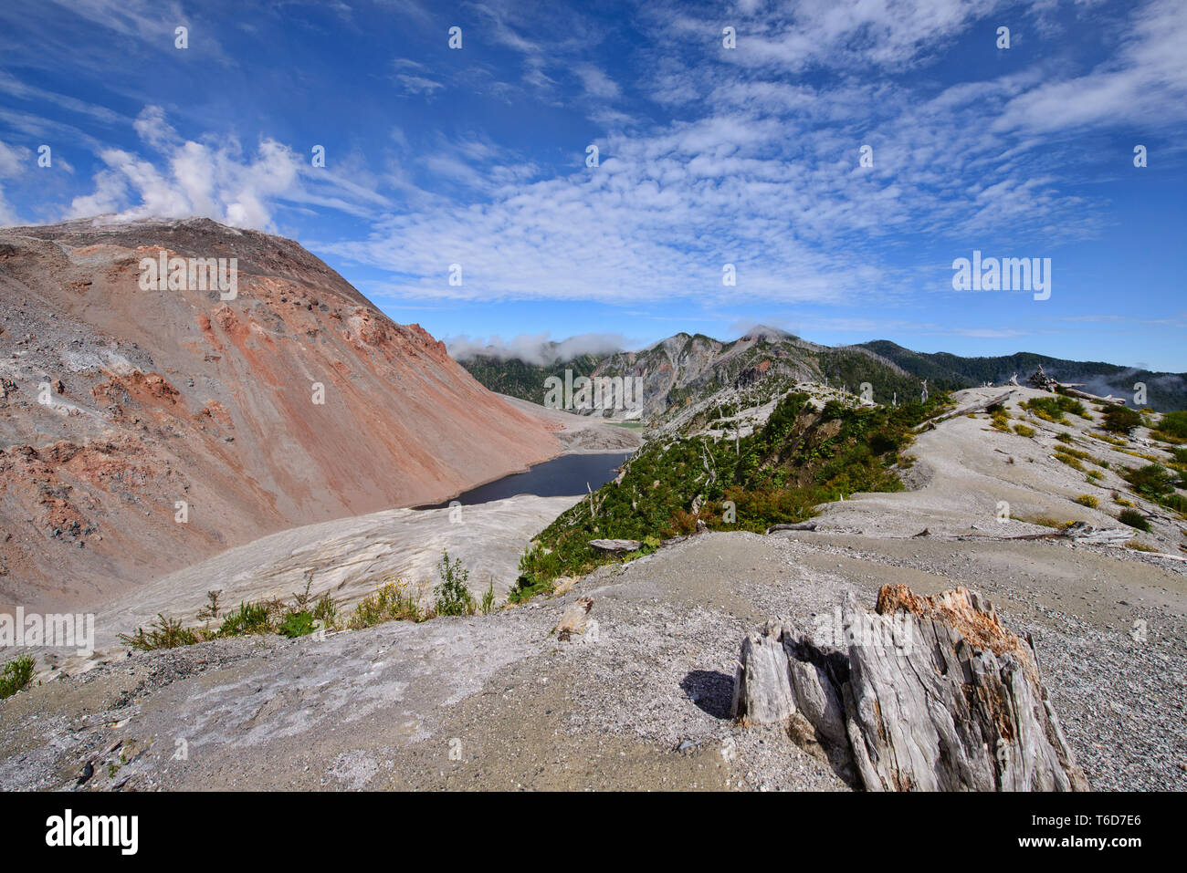 At the Chaitén volcano, Pumalin National Park, Patagonia, Chaitén ...