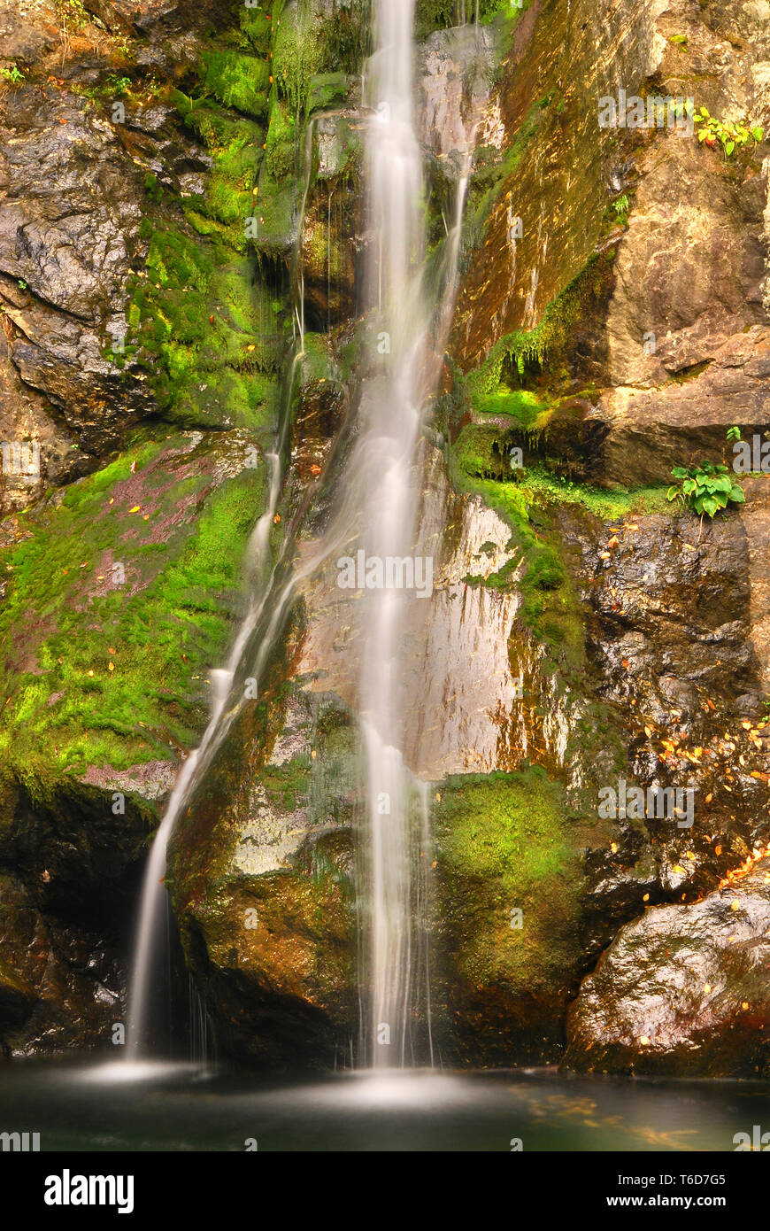 Moss creek lake hi-res stock photography and images - Alamy