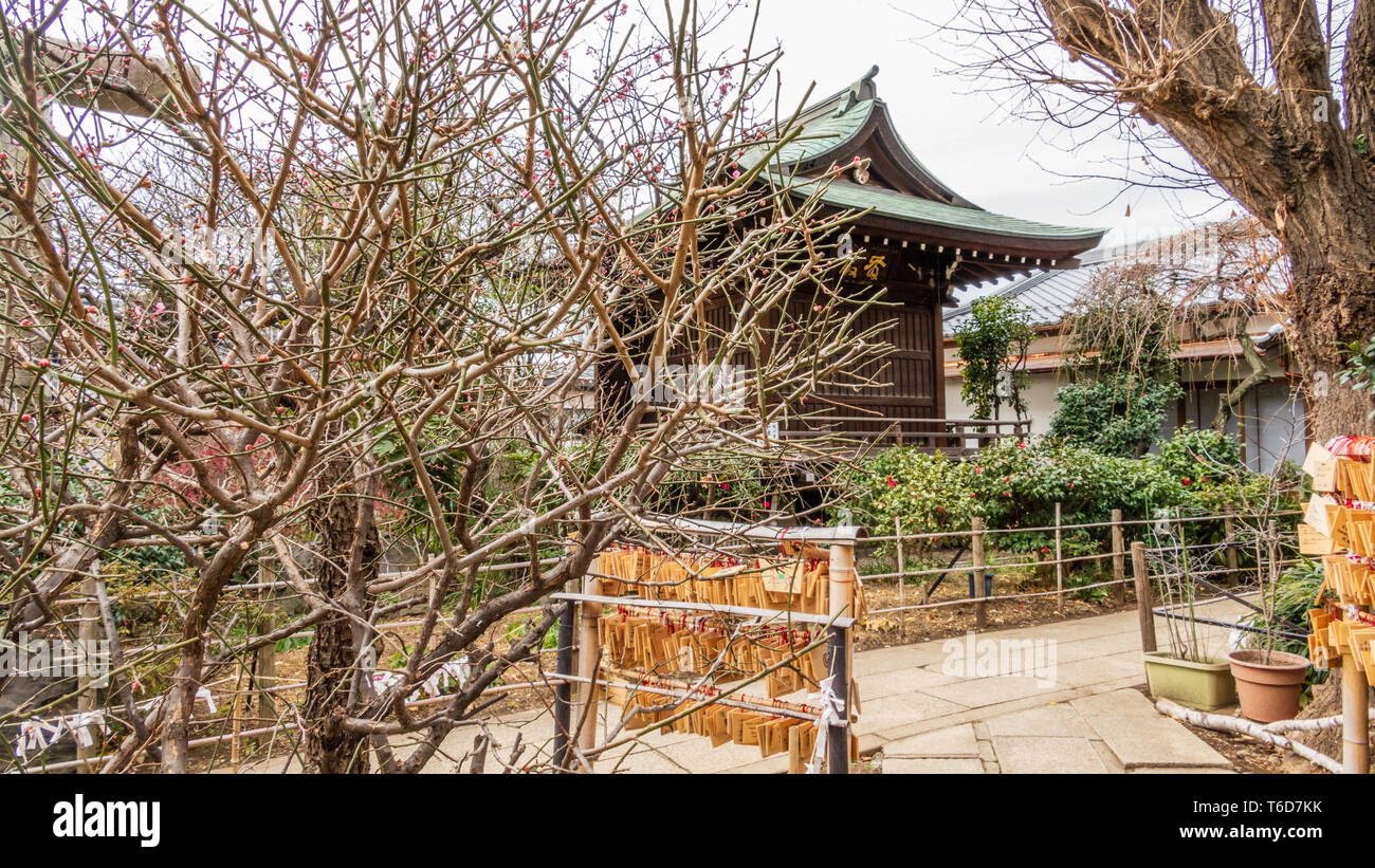 TOKYO, JAPAN - FEBRUARY 8, 2019: Hanazono Inari Shrine at Ueno Park ...