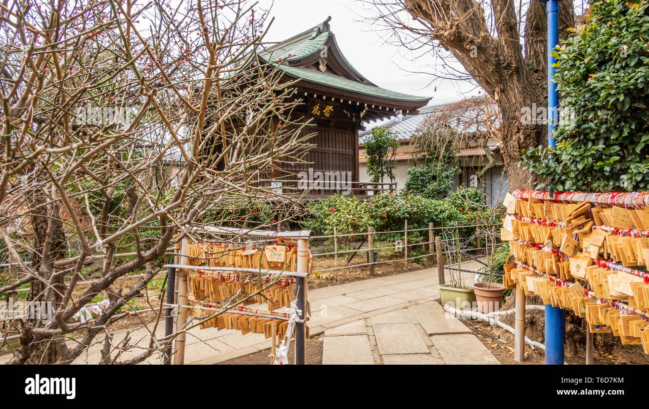 TOKYO, JAPAN - FEBRUARY 8, 2019: Hanazono Inari Shrine at Ueno Park ...