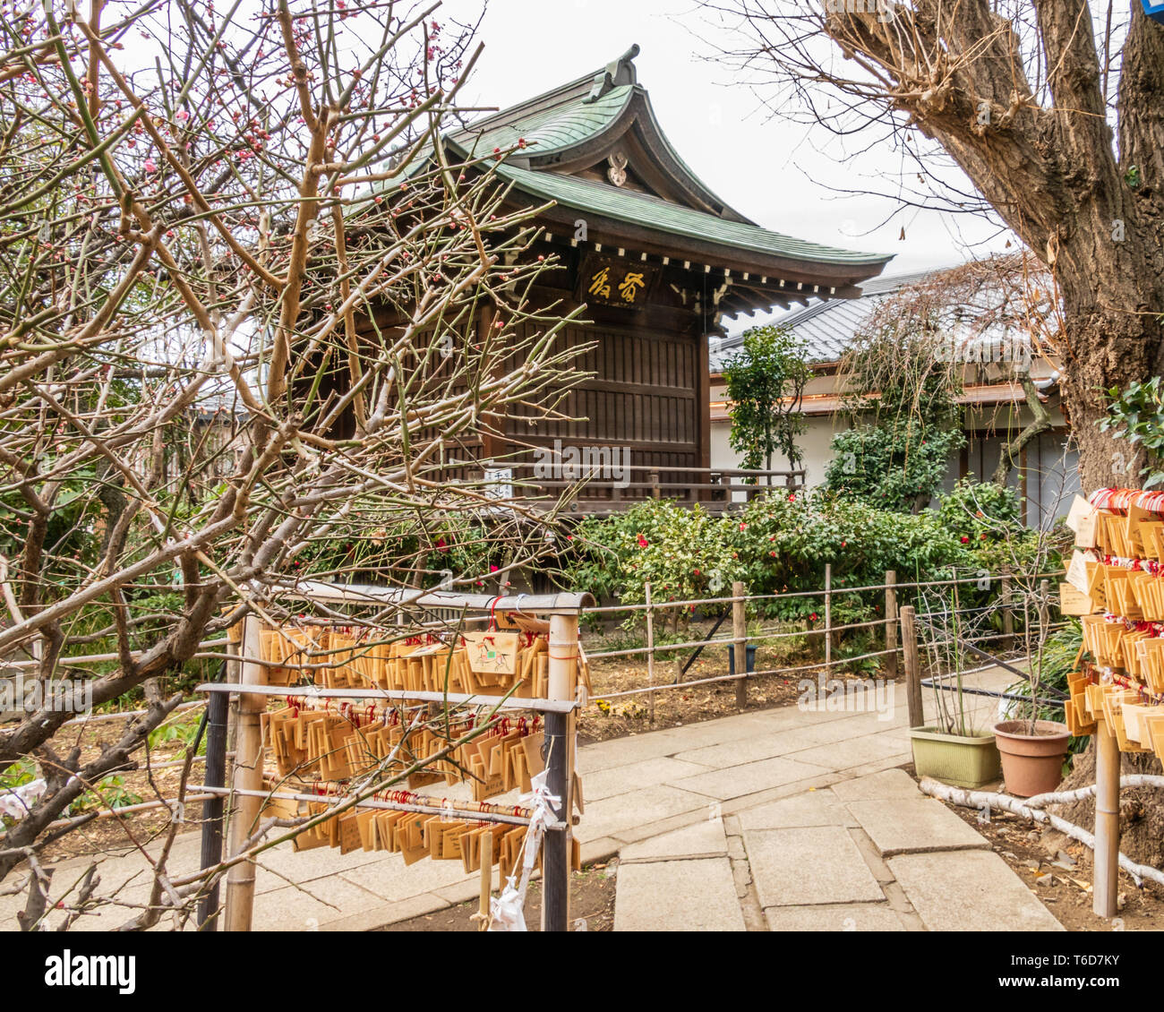 TOKYO, JAPAN - FEBRUARY 8, 2019: Hanazono Inari Shrine at Ueno Park ...