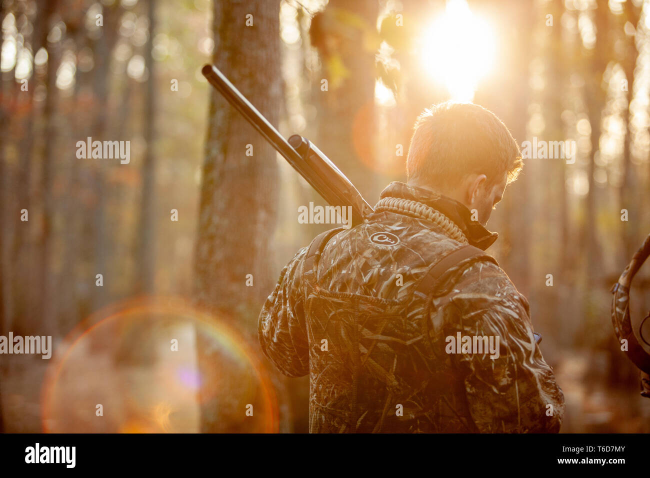 Duck hunter hunting flooded timber Stock Photo - Alamy