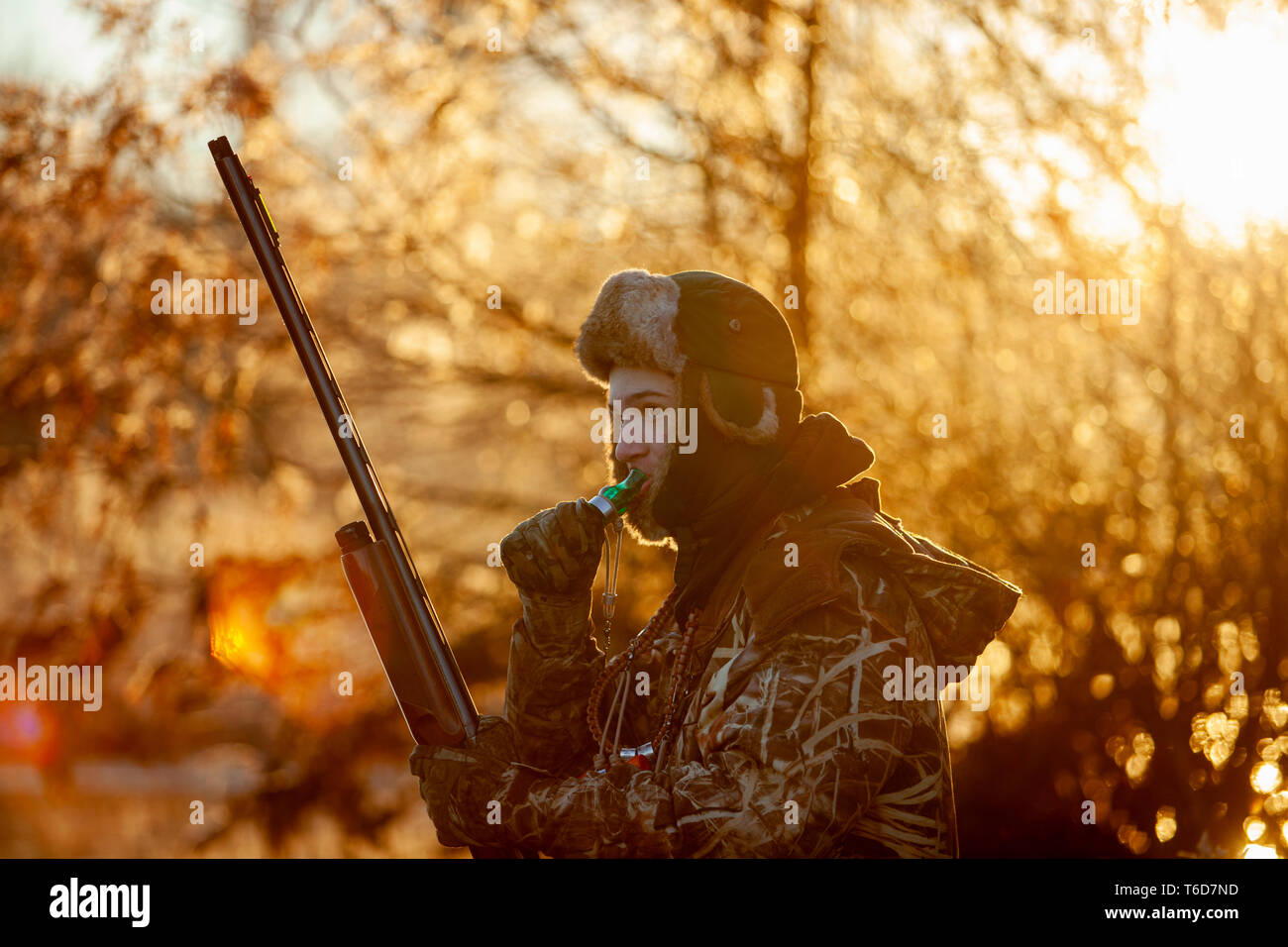Hunter duck hunting in the flooded timber hi-res stock photography and ...