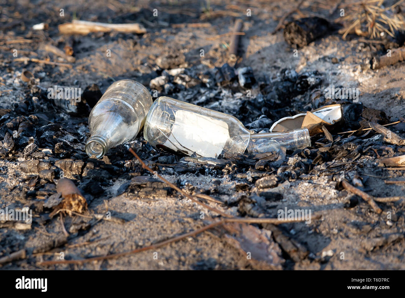 A pile of garbage in the forest park near the campfire site ...