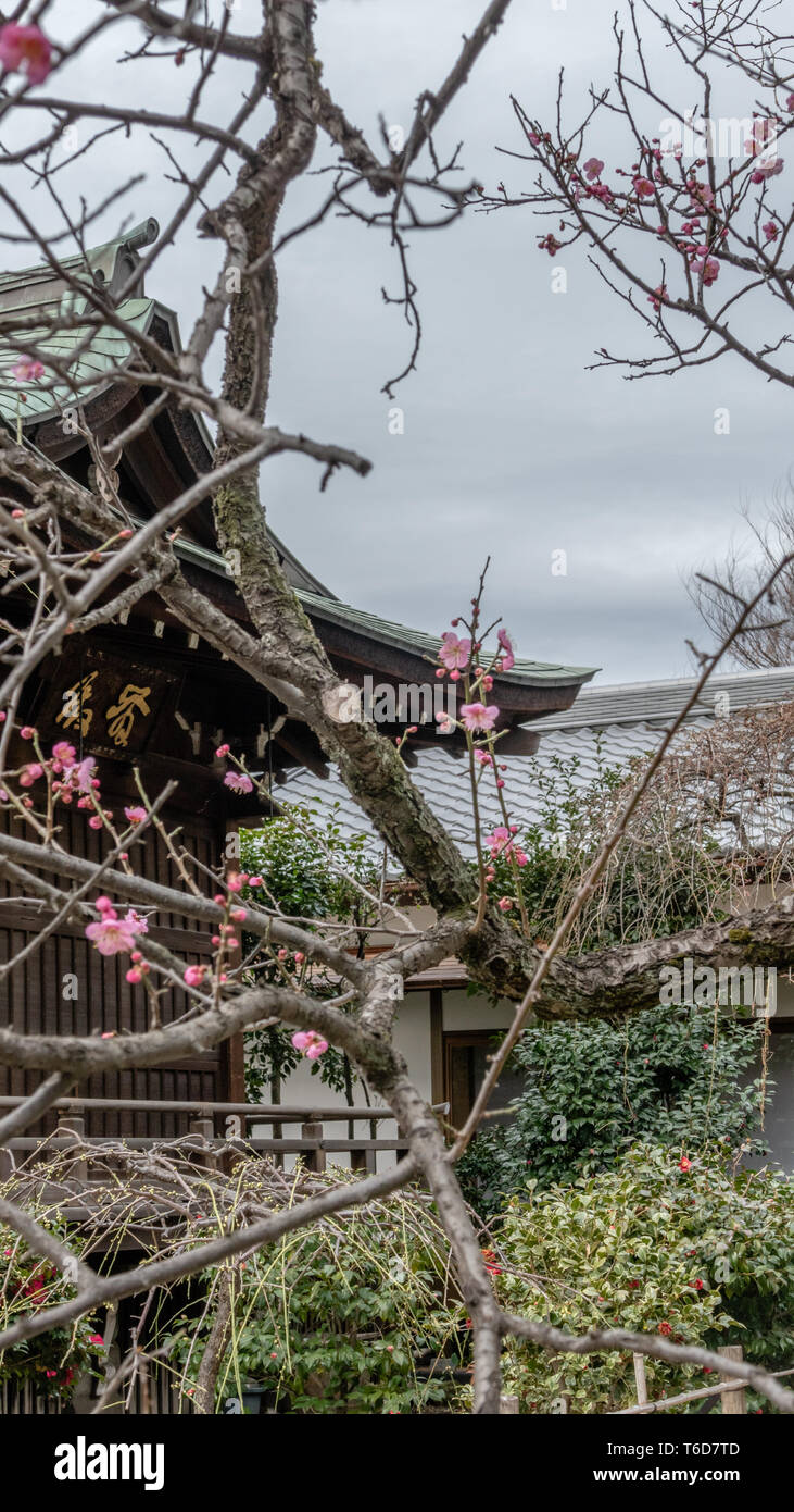 TOKYO, JAPAN - FEBRUARY 8, 2019: Gojoten shrine to Hanazono Inari ...