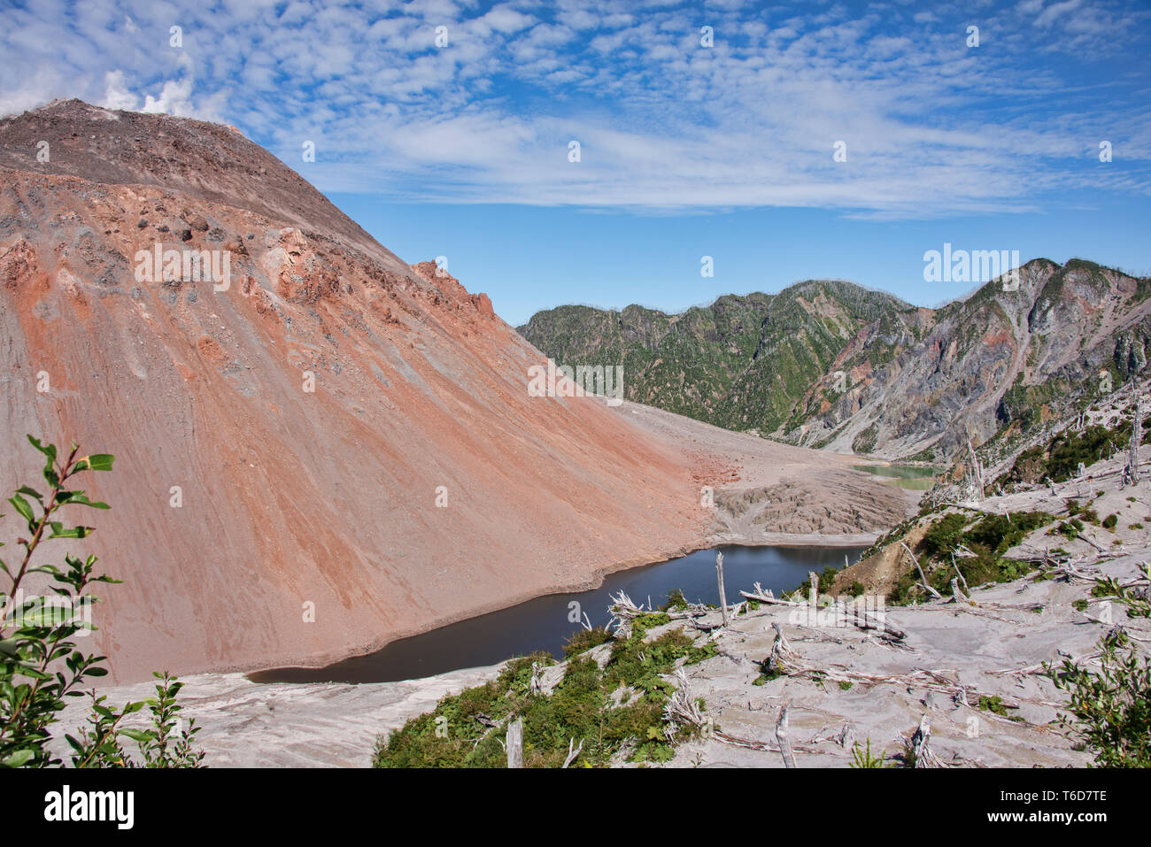 At the Chaitén volcano, Pumalin National Park, Patagonia, Chaitén ...