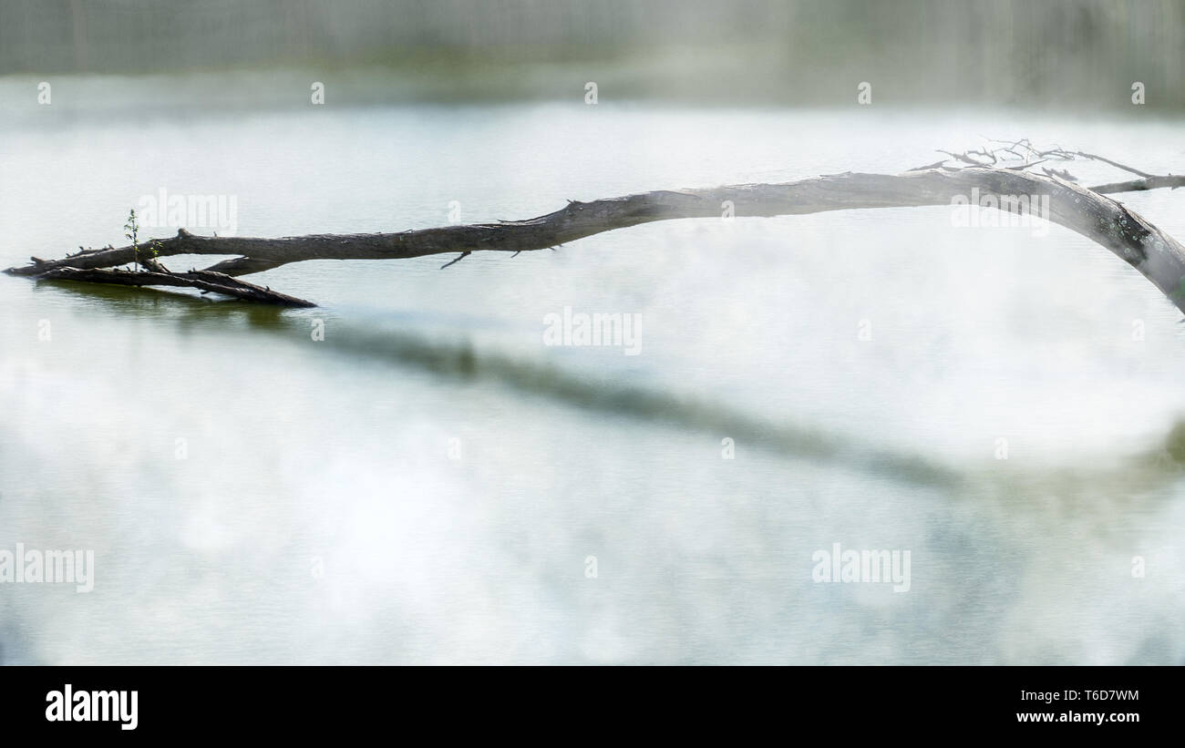 Old log and lake hi-res stock photography and images - Alamy