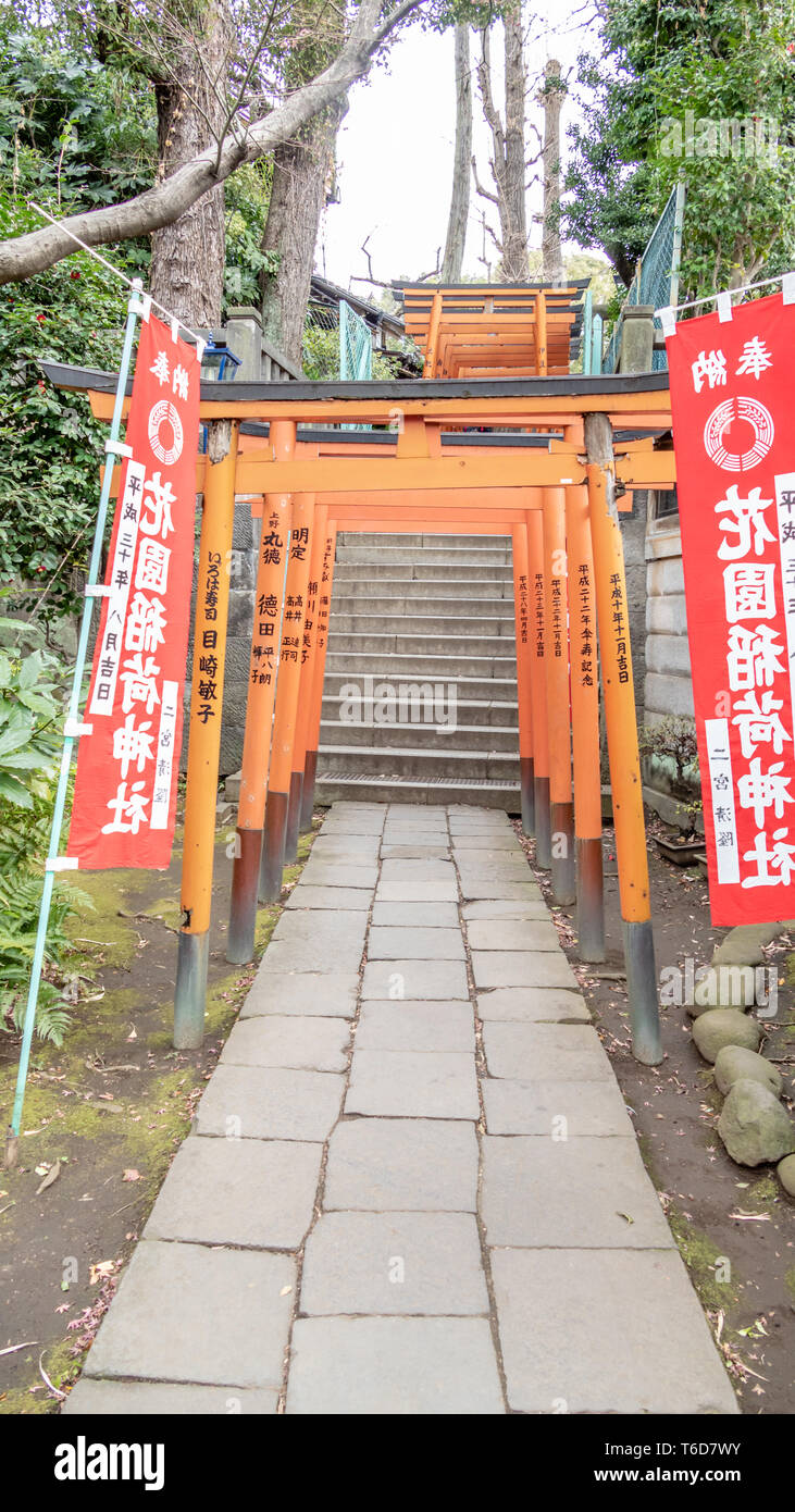 TOKYO, JAPAN - FEBRUARY 8, 2019: Torii tunnel leading to Hanazono Inari ...