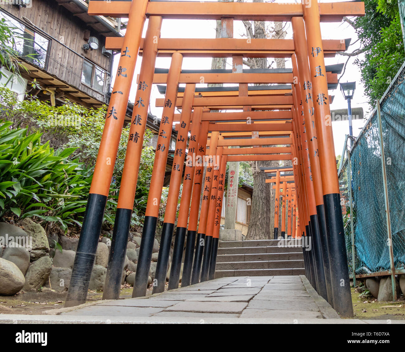 TOKYO, JAPAN - FEBRUARY 8, 2019: Torii tunnel leading to Hanazono Inari ...