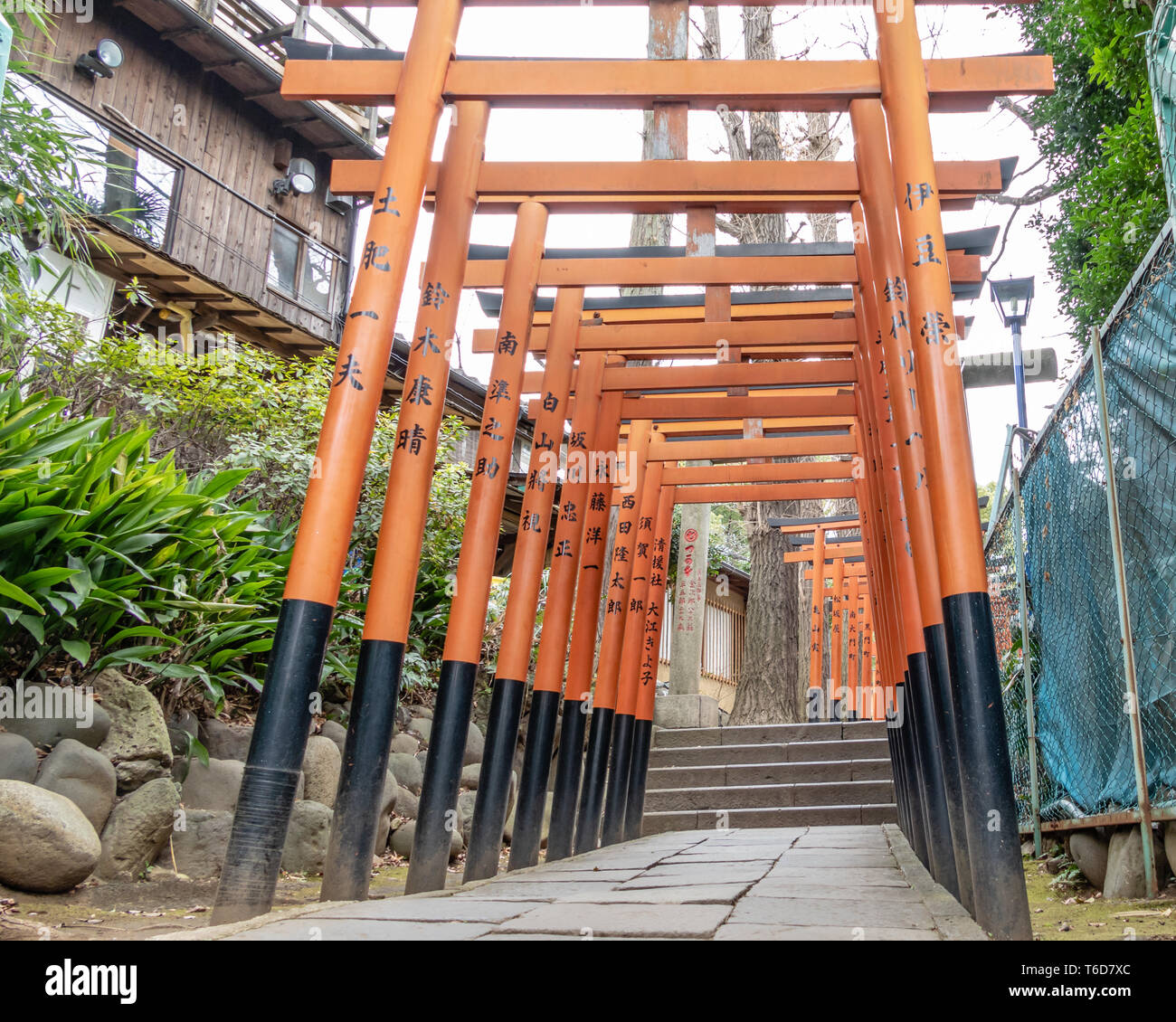 TOKYO, JAPAN - FEBRUARY 8, 2019: Torii tunnel leading to Hanazono Inari ...