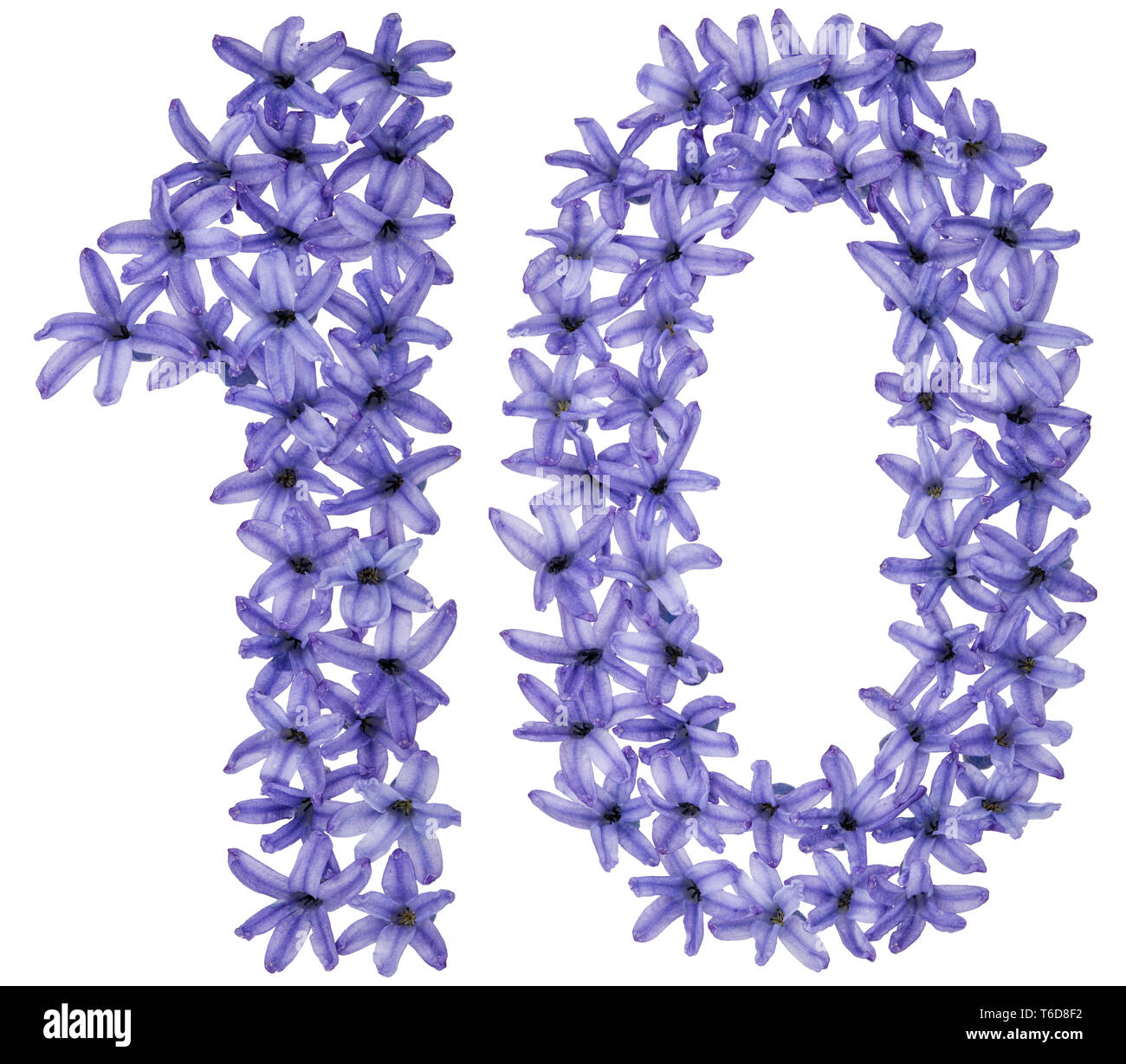 Numeral 10, ten, from natural flowers of hyacinth, isolated on white ...