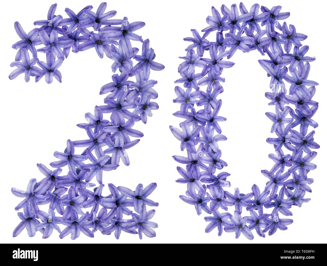 Numeral 20, twenty, from natural flowers of hyacinth, isolated on white ...