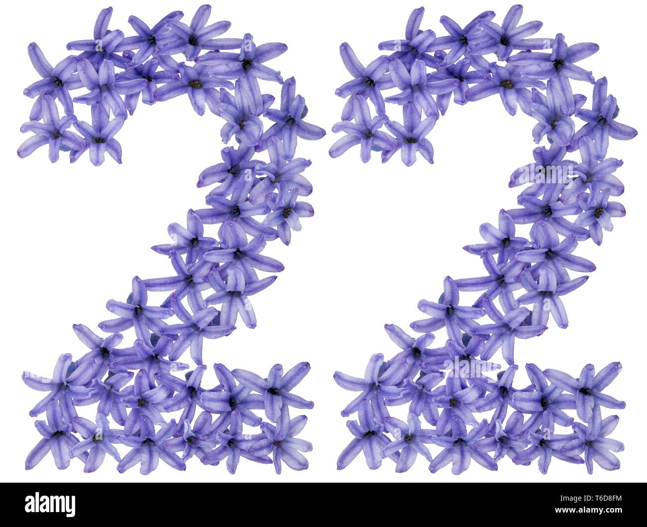 Numeral f22, twenty two, rom natural flowers of hyacinth, isolated on ...