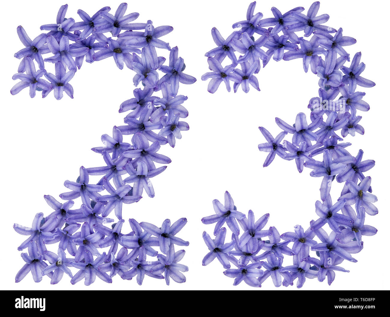 Three hyacinth Cut Out Stock Images & Pictures - Alamy