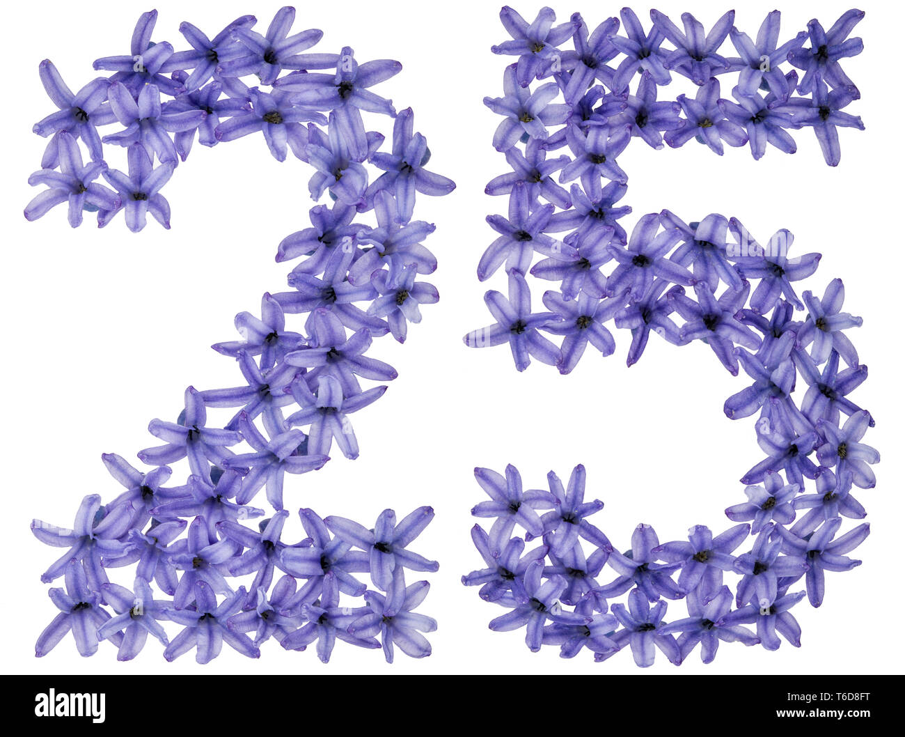 Numeral 25, twenty five, from natural flowers of hyacinth, isolated on ...