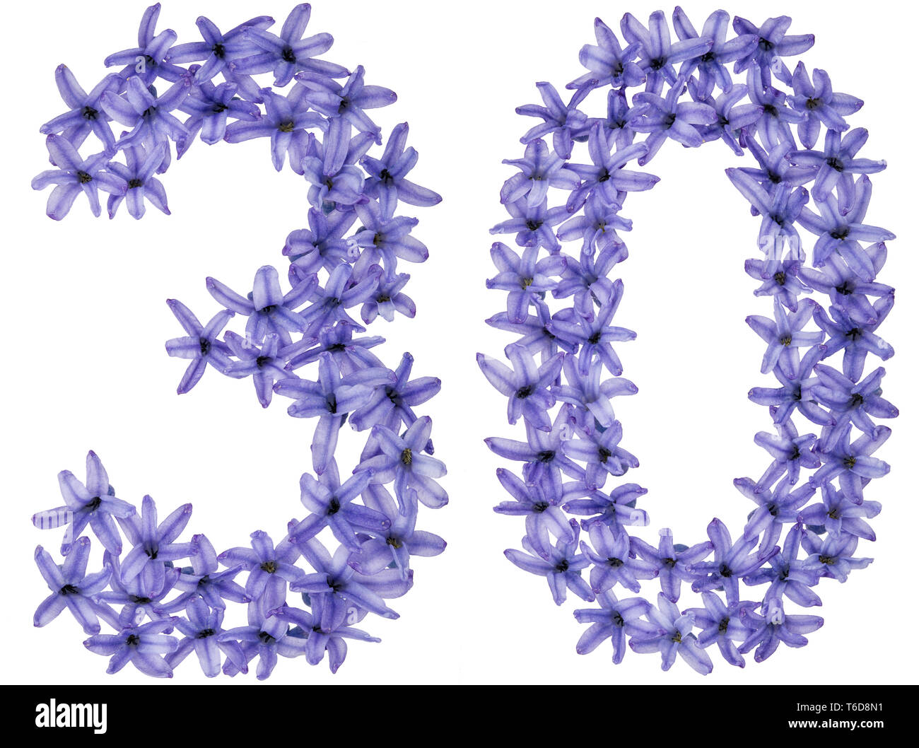 Numeral 30, thirty, from natural flowers of hyacinth, isolated on white ...